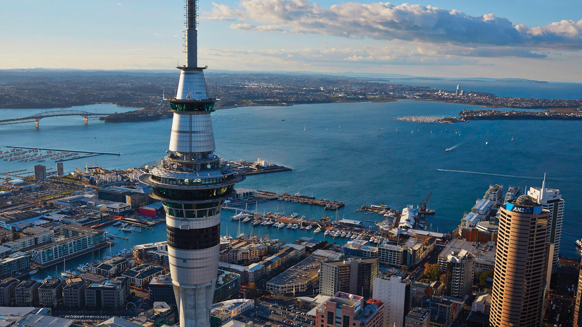 5 Auckland Exclusive Attractions - Explorer Bus