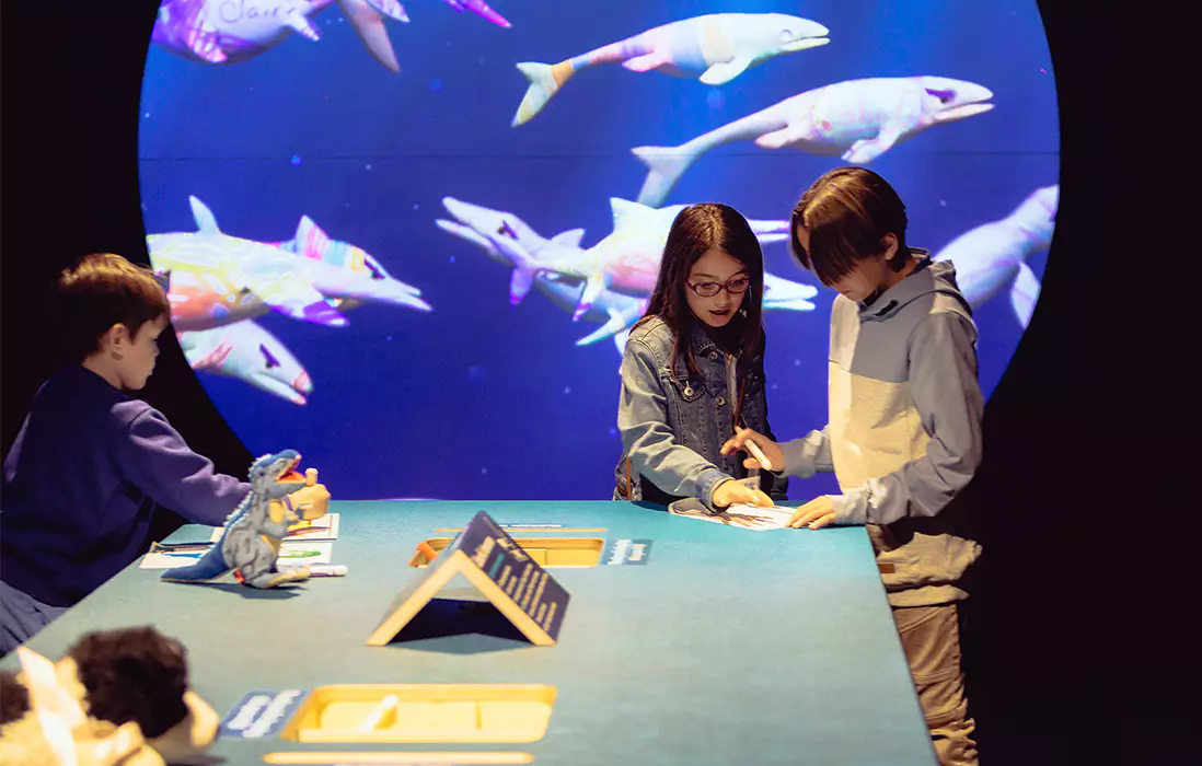 Things to Do in Auckland with Kids and Family - Explorer Bus