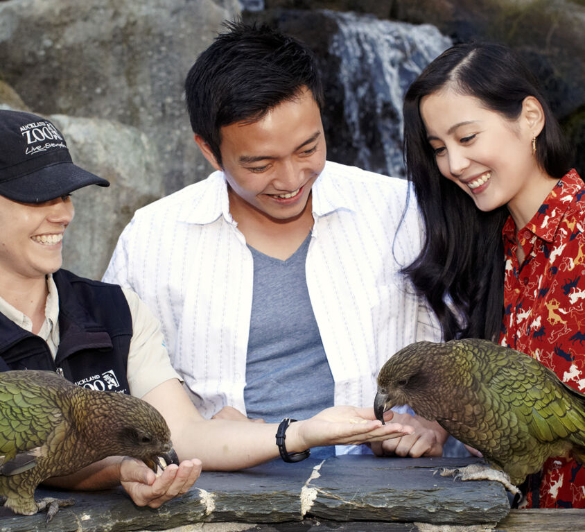 Good for Kids - Explorer Bus