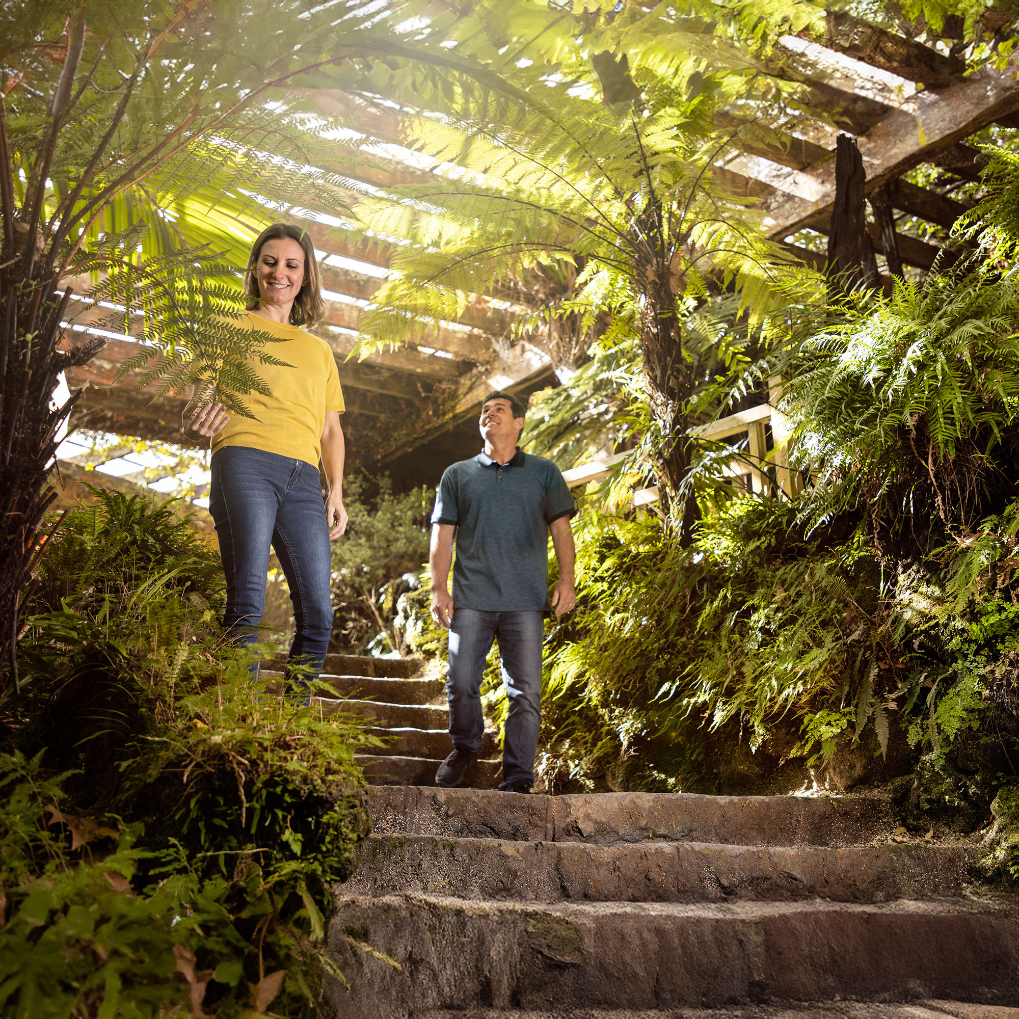 Sustainability | Auckland Explorer Bus